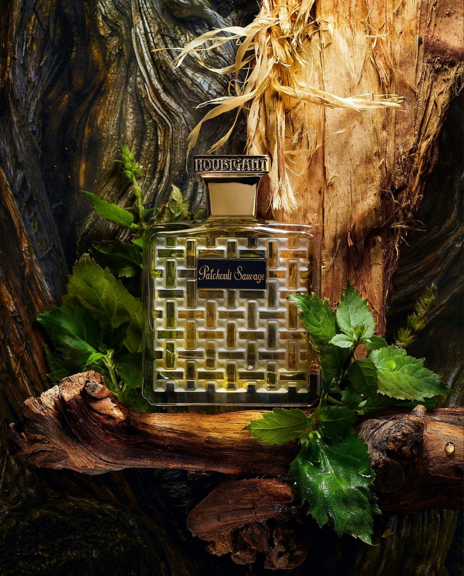 Patchouli-Sauvage-Houbigant | H Parfums